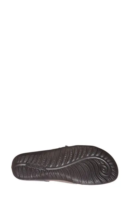 Naot Papaki Sandal - Tan