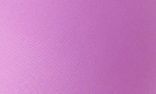 Wacoal Back Appeal™ Underwire Minimizer Bra - First Bloom