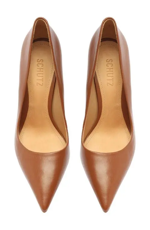 Schutz Pointed Toe Pump - Wood