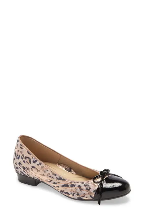 ARA Belinda Ballerina Flat - Black/leopard Print Leather