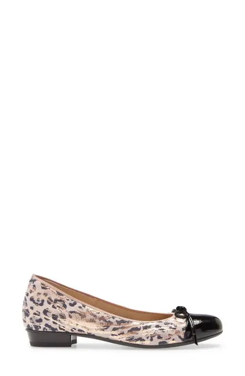 ARA Belinda Ballerina Flat - Black/leopard Print Leather