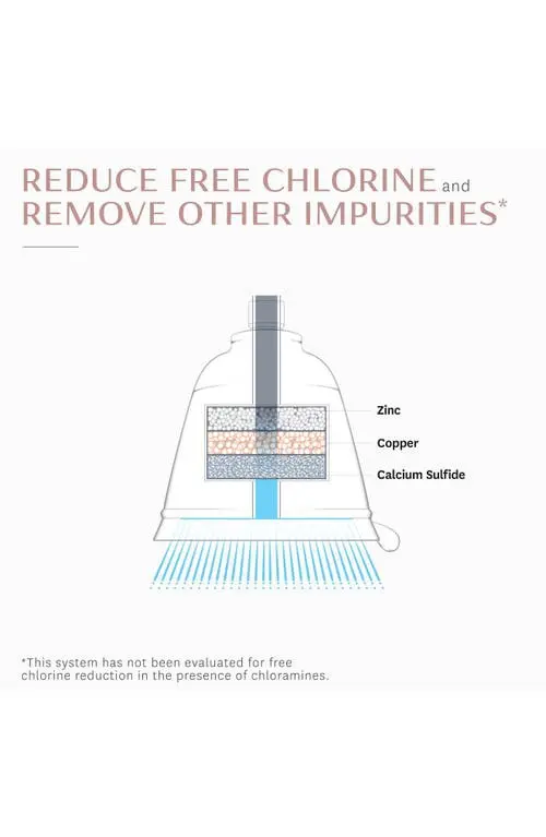 T3 Source Showerhead Shower Filter