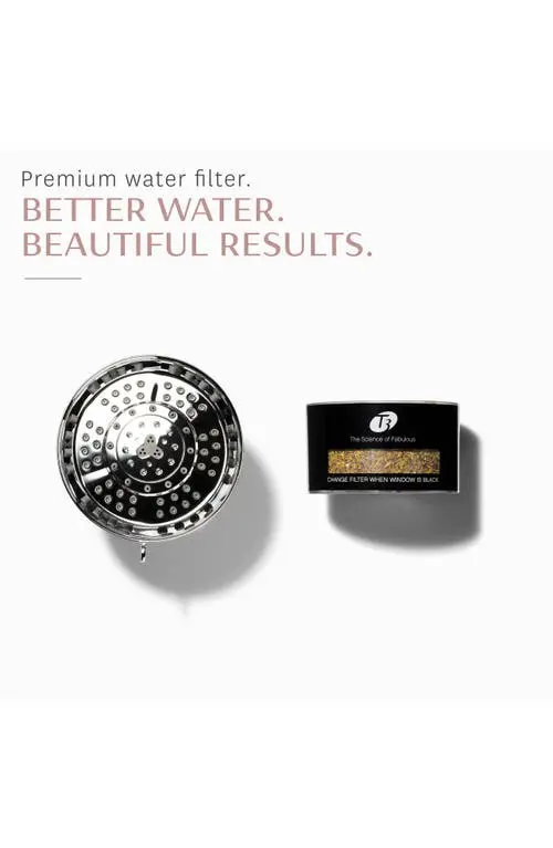 T3 Source Showerhead Shower Filter