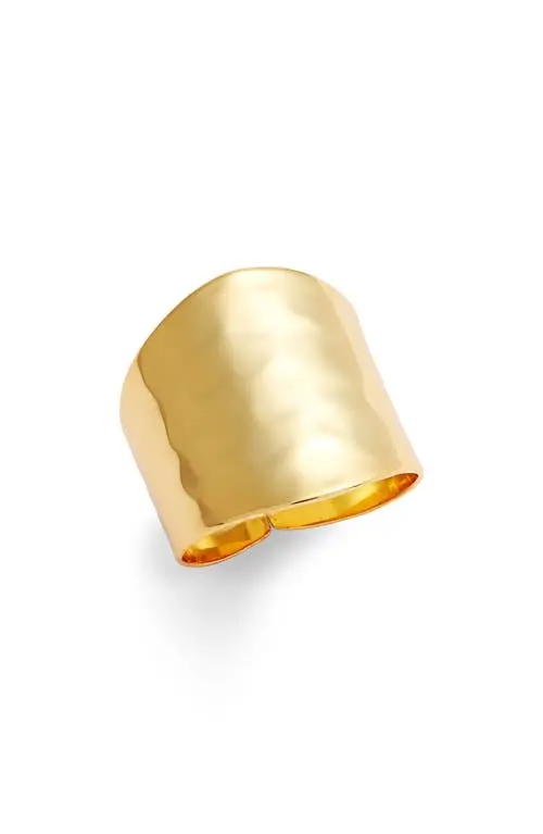 Nest Jewelry Hammered Adjustable Ring - Gold
