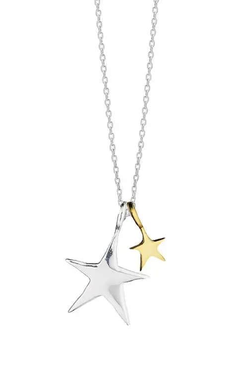 Estée Lauder Two-tone Double Star Pendant Necklace