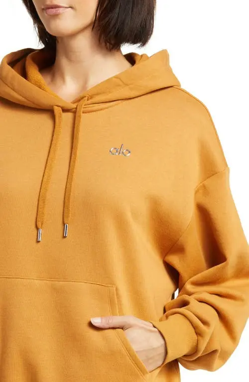Alo Yoga Accolade Hoodie - Toffee