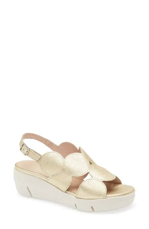 WONDERS Platform Sandal - Max Platino