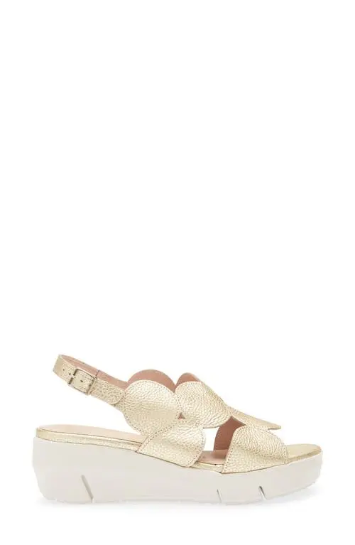 WONDERS Platform Sandal - Max Platino