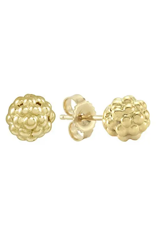 Lagos Caviar 18k Stud Earrings - Gold