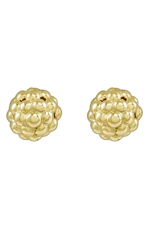 Lagos Caviar 18k Stud Earrings