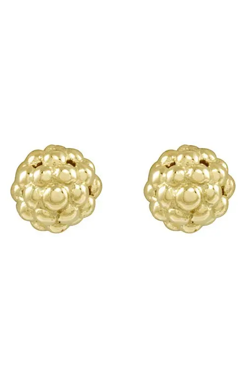 Lagos Caviar 18k Stud Earrings