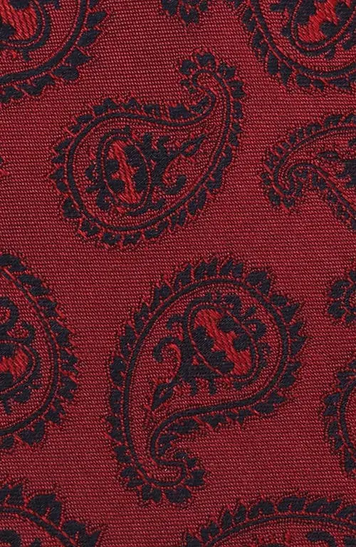 CUFFLINKS, INC. Paisley Neck Tie
