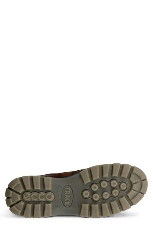 Ecco Track 25 Waterproof Moc Toe Derby - Bison