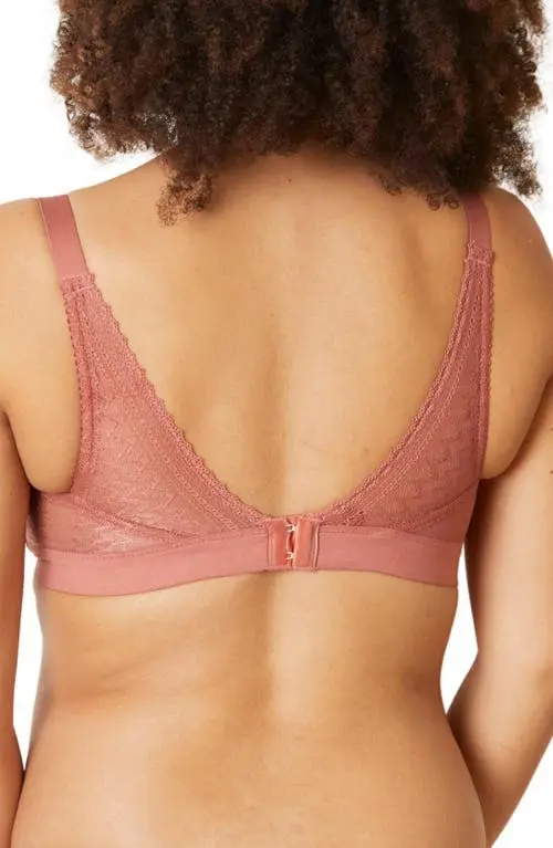 CACHE COEUR Serena Wireless Lace Nursing Bra - Terracotta