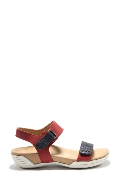 HALSA FOOTWEAR Dominica Sandal - Dark Red/navy Leather