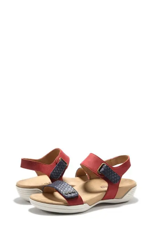 HALSA FOOTWEAR Dominica Sandal - Dark Red/navy Leather