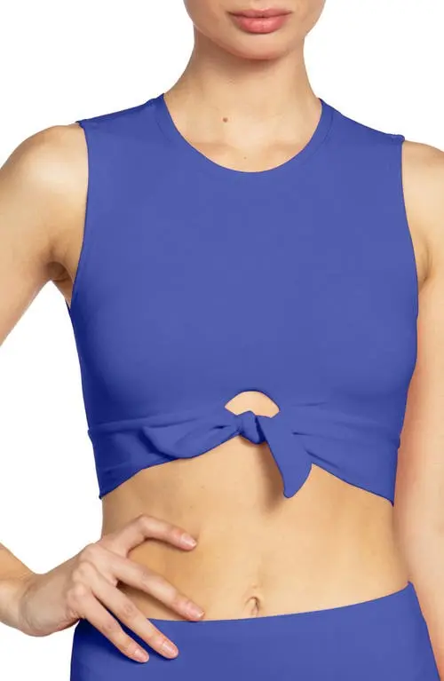 Robin Piccone Ava Longline Knot Front Bikini Top - Ube