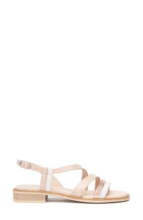 NEROGIARDINI Strappy Sandal - Rose Multi