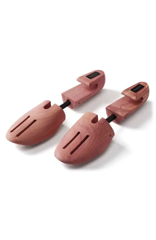 Allen Edmonds Full Shoe Tree - No Color