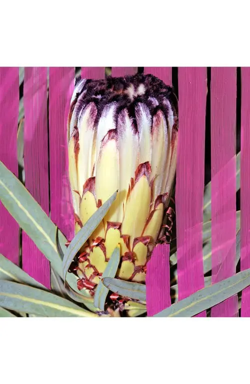 Byredo Inflorescence Eau De Parfum