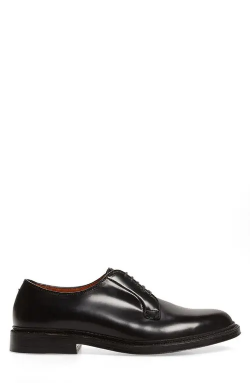Alden Plain Toe Blucher Derby