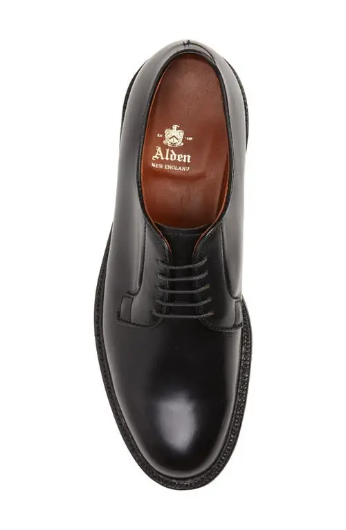 Alden Plain Toe Blucher Derby