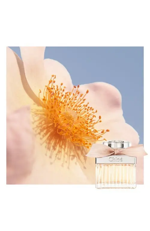 Chloé Eau De Parfum - Regular