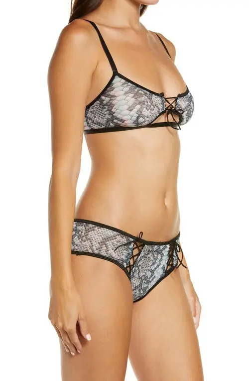 HAUTY Snake Charmer Print Mesh Bra & Briefs Set