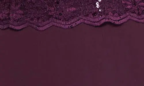 Alex Evenings Sequin Lace & Chiffon Gown - Deep Plum