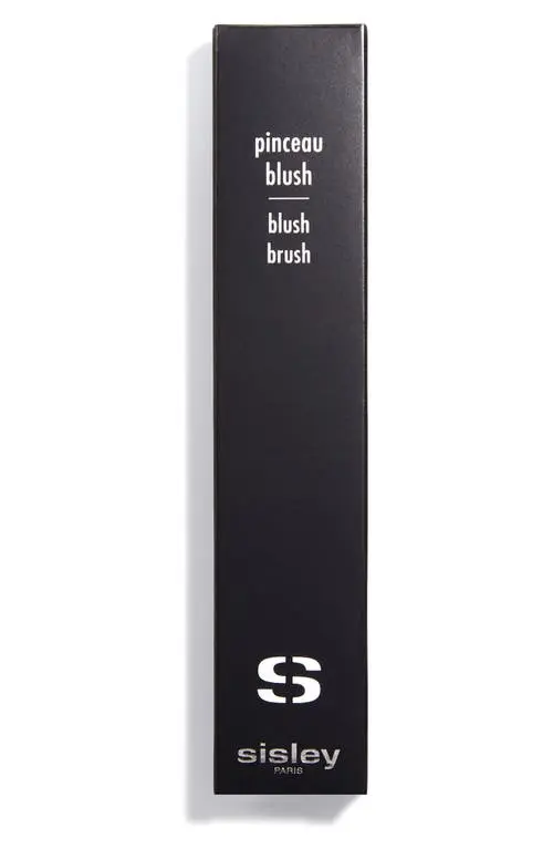 HAIR RITUEL BY SISLEY Blush Brush - No Color