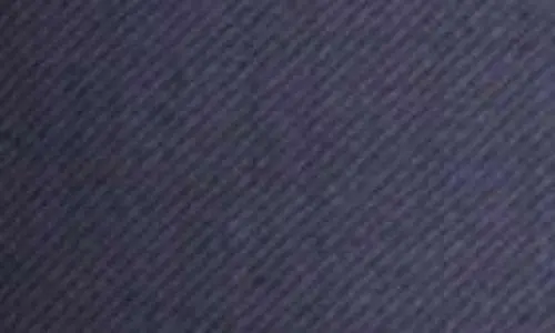 Canali Flat Front Wool Trousers - Blue