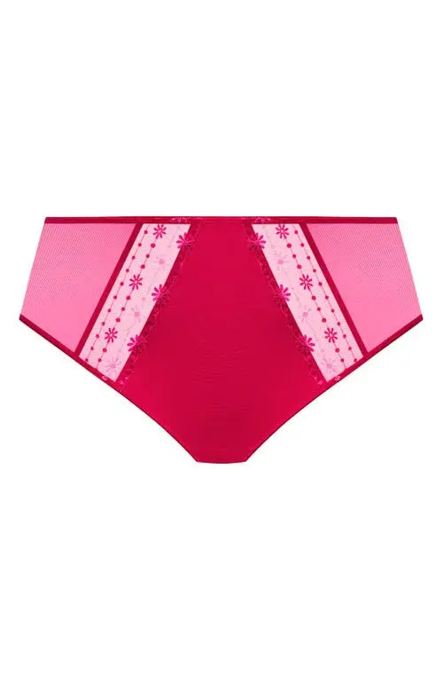 Elomi Matilda Full Figure Embellished Briefs - Hot Pink
