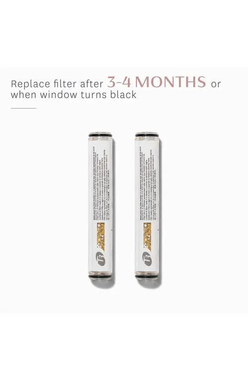 T3 Source 2-pack Hand-held Replacement Filter