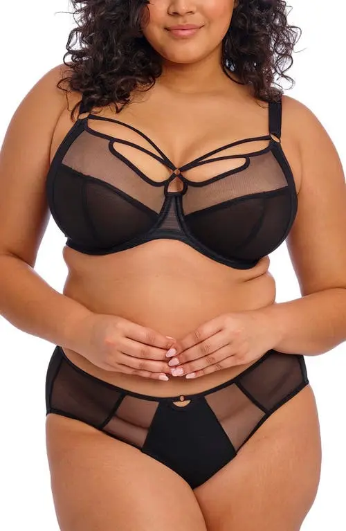 Elomi Sachi Full Figure High Waist Panties