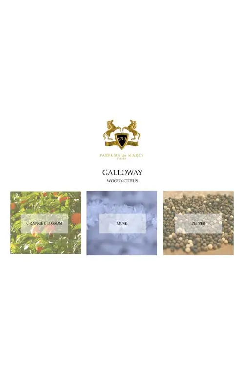PARFUMS DE MARLY Galloway Eau De Parfum - No Color