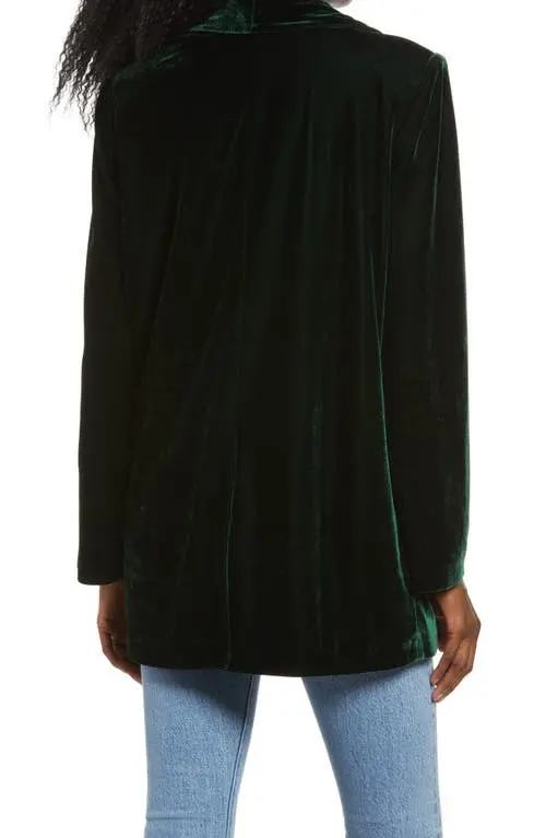 Endless Rose Velvet Blazer - Green