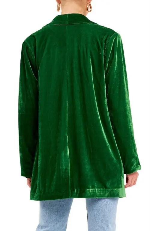 Endless Rose Velvet Blazer - Light Green