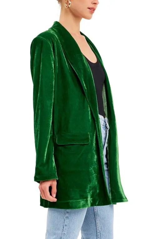 Endless Rose Velvet Blazer - Light Green