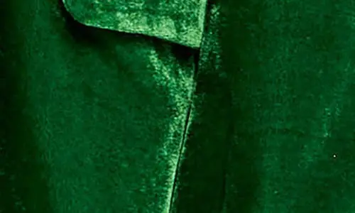 Endless Rose Velvet Blazer - Light Green