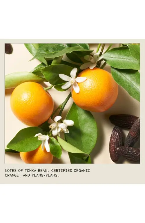 Aveda Cherry Almond Softening Shampoo - No Color