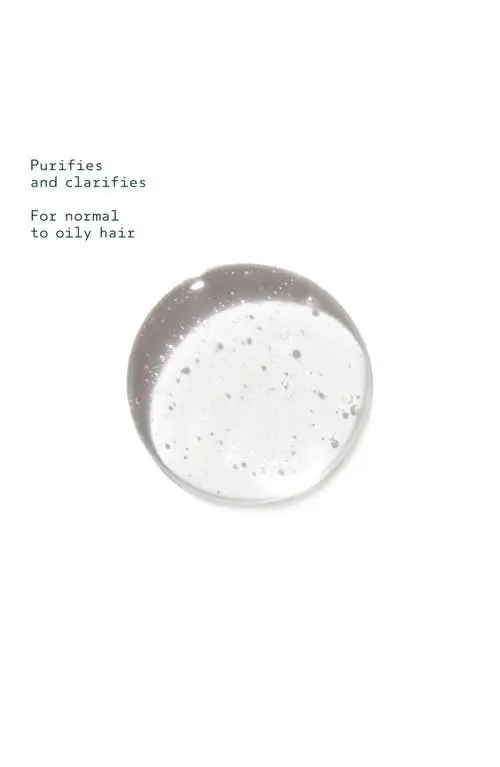 Aveda Rosemary Mint Purifying Shampoo