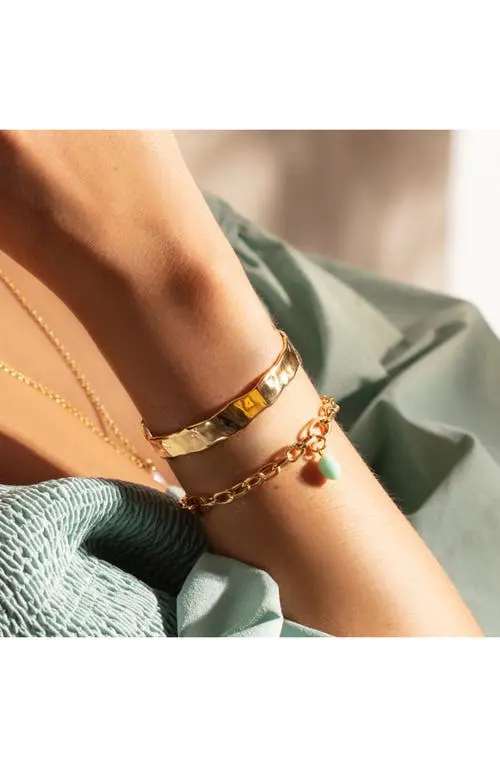 Monica Vinader Alta Capture Mini Link Bracelet