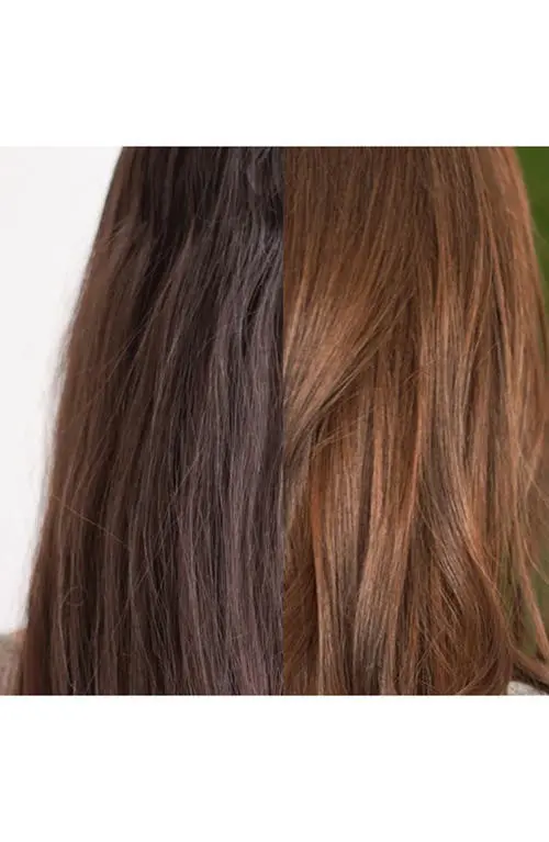 PHYTO Color Permanent Hair Color - 4 Brown