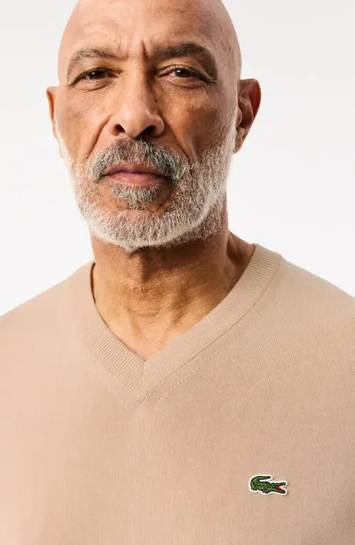 Lacoste V-neck Cotton Sweater - Viennese
