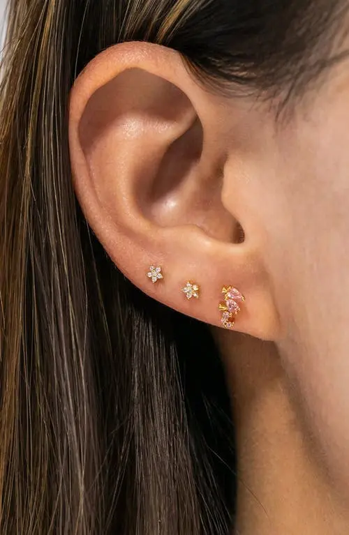 GIRLS CREW Seahorse Stud Earrings