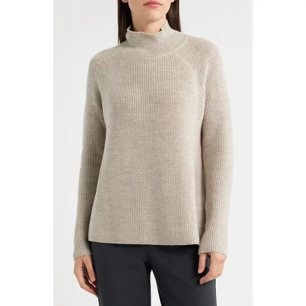 Eileen Fisher Raglan Sleeve Merino Wool Turtleneck Sweater