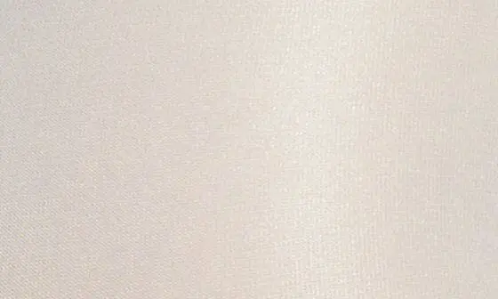 Natori 2-pack Shimmer Sheer Pantyhose
