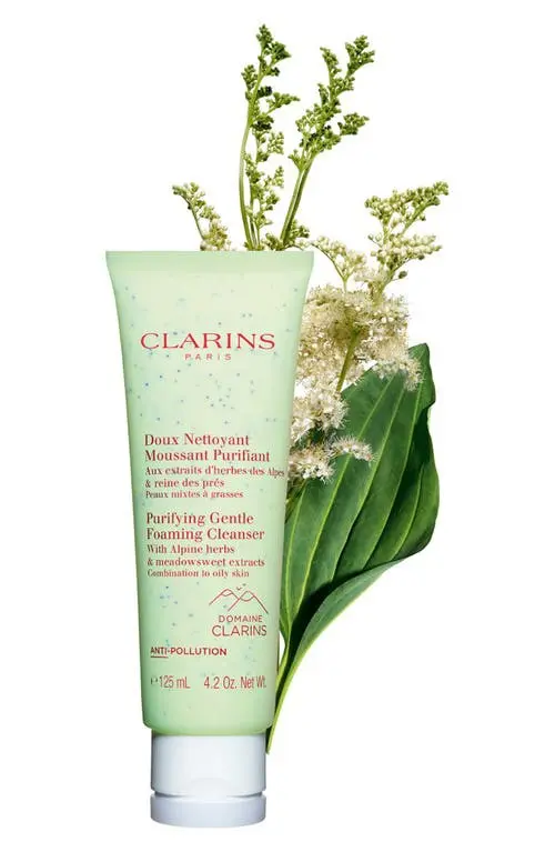 Clarins Purifying Gentle Foaming Cleanser With Salicylic Acid - No Color