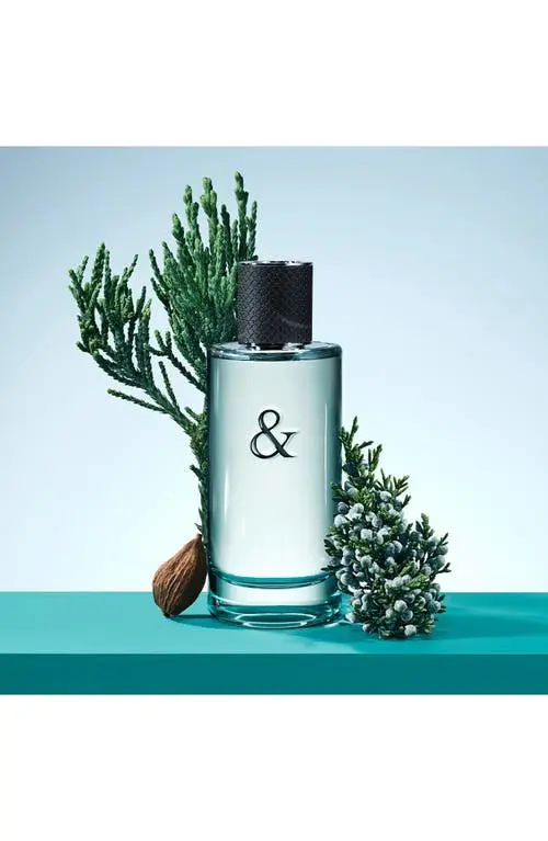 Tiffany & Co. Love Eau De Toilette For Him