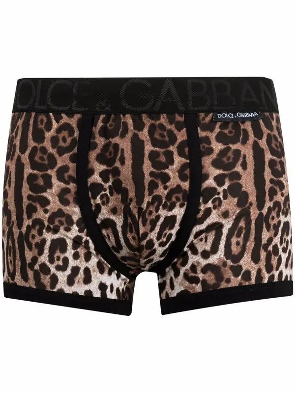 Dolce & Gabbana Leopard-print Boxer Trunks - Neutrals